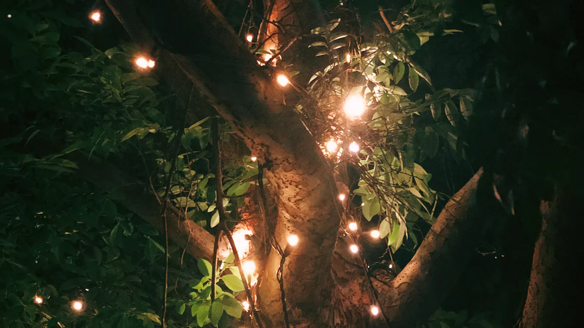 Top Reasons to Hire a Professional Outdoor Lighting Designer